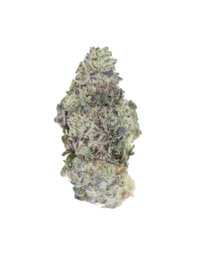 Buy Tropical Runtz Online | Canada Bliss Herbals