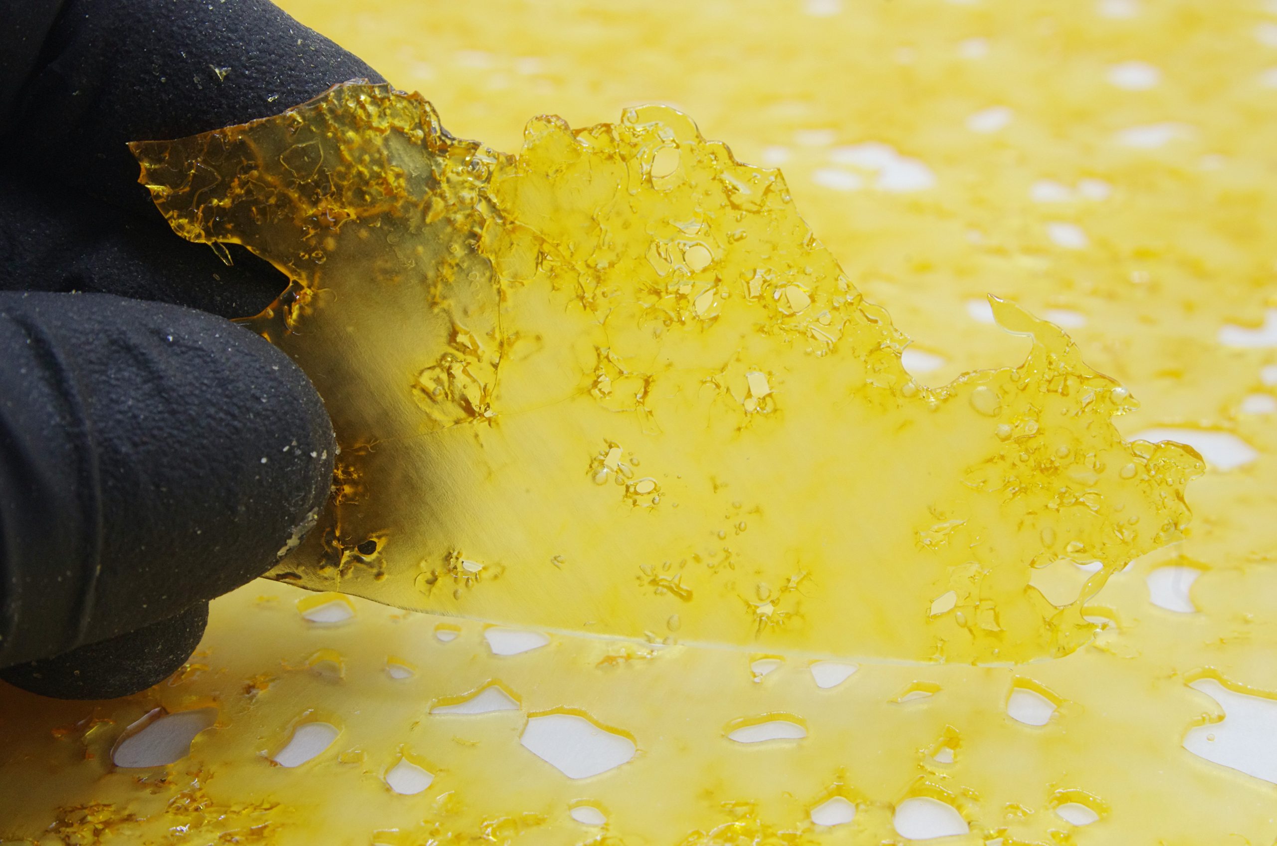 God Bud Shatter | Canada Bliss Herbals