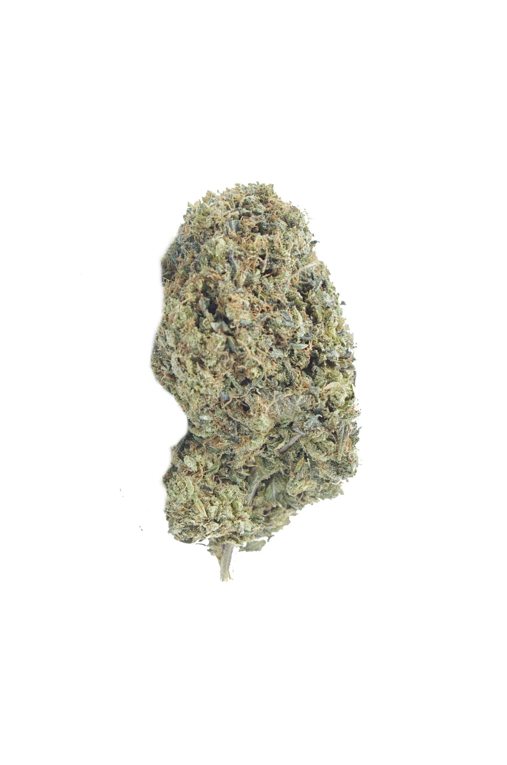 Astro Pink Oz Special | Canada Bliss Herbals