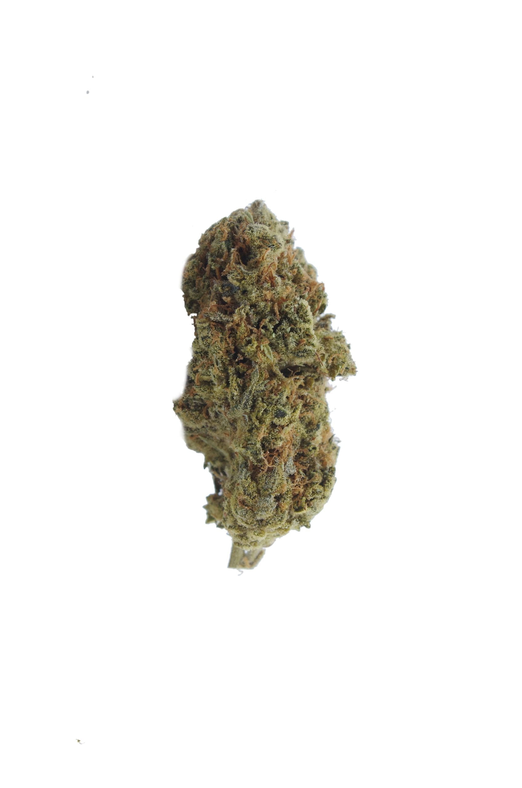 SFV OG Oz Special | Canada Bliss Herbals