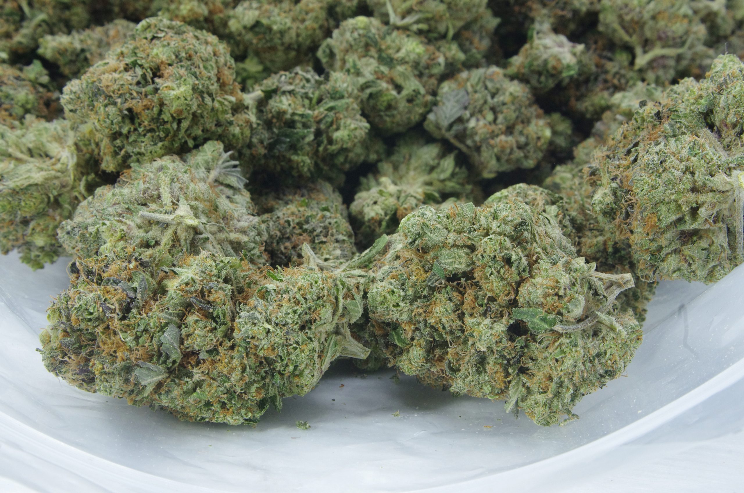 Purple Og Leafly _ Purple Alien Og Strain Strain – HOBH