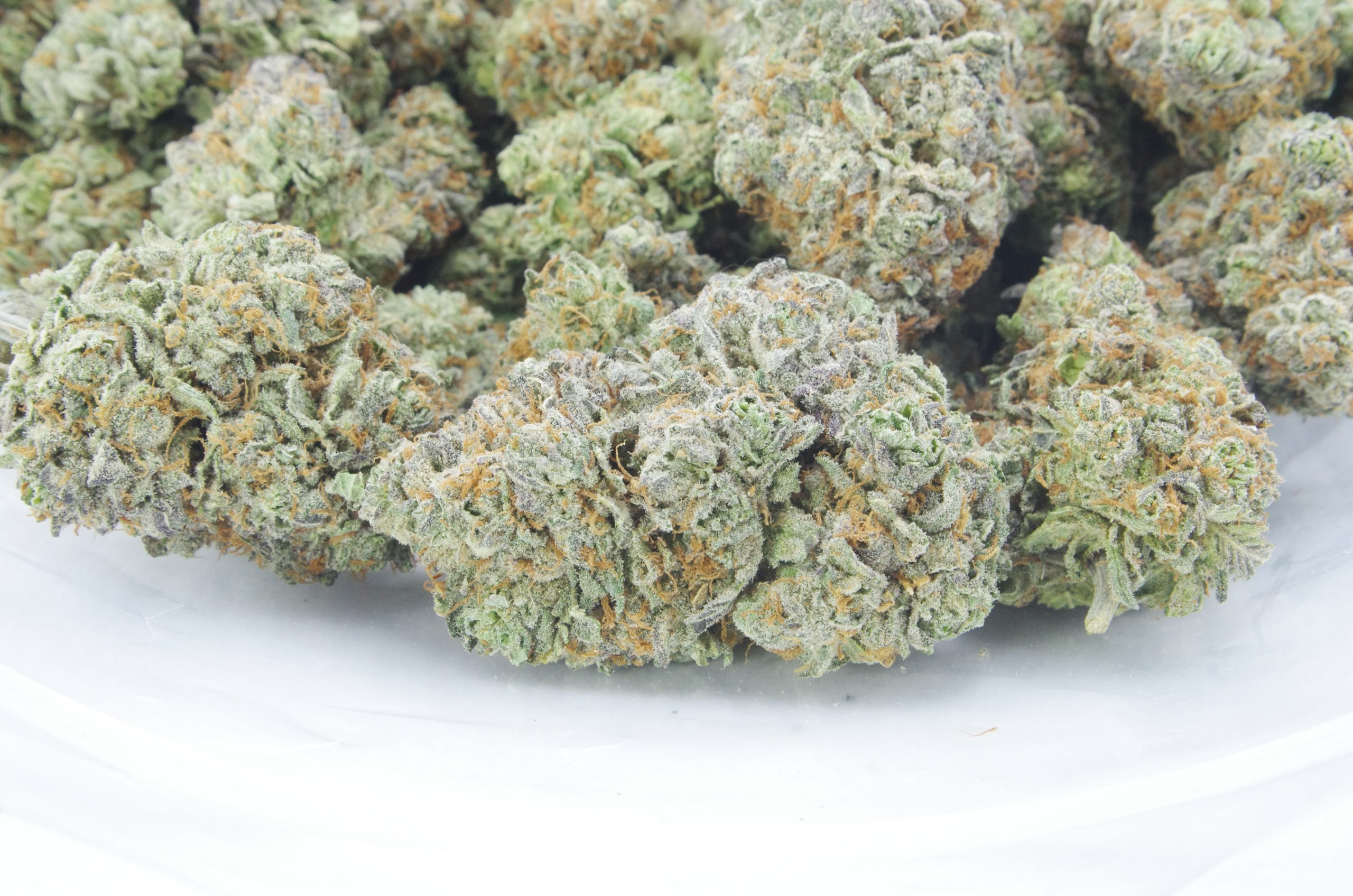Alien Cookies Oz Special | Canada Bliss Herbals