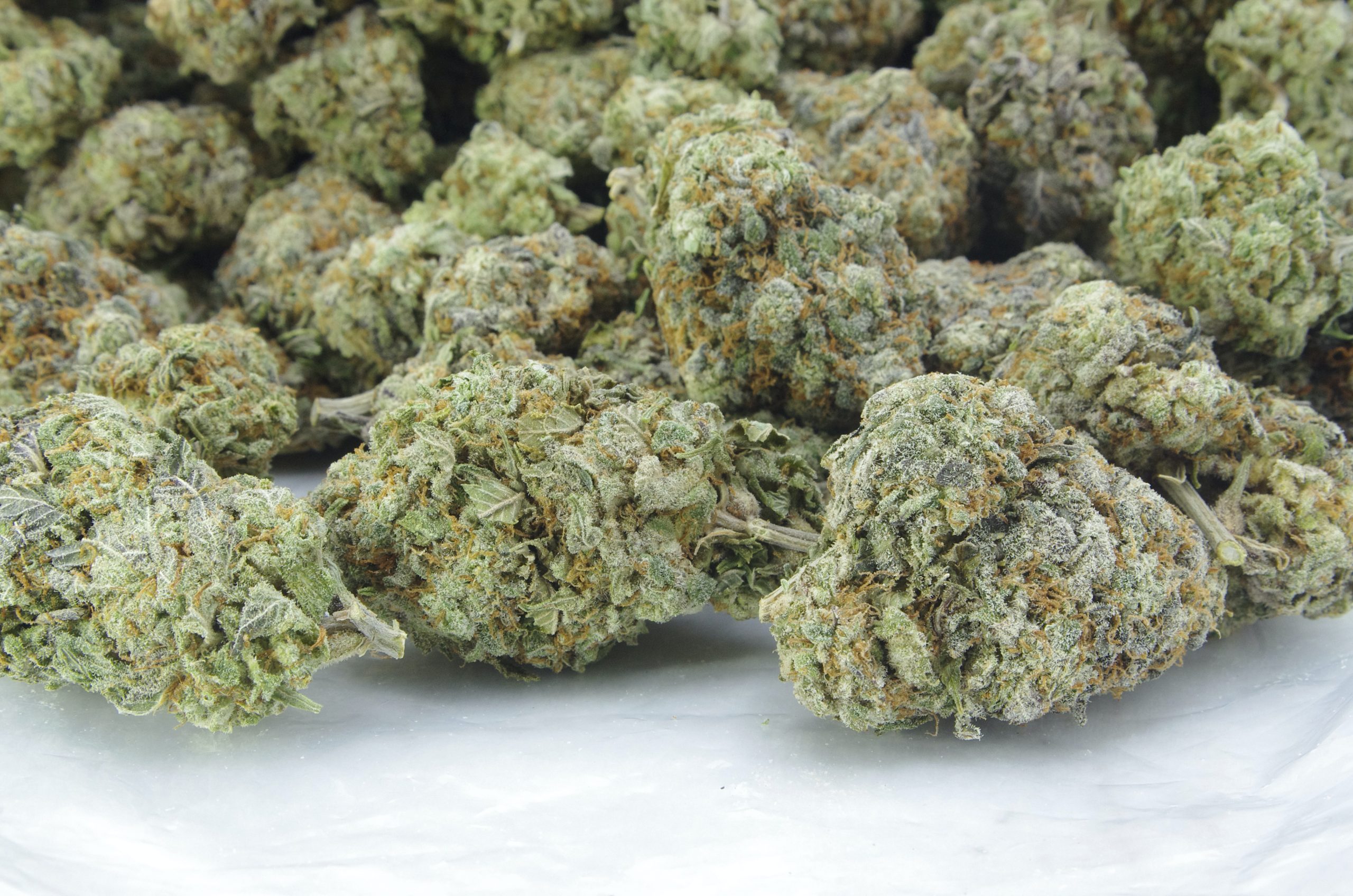 Super Skunk Oz Special | Canada Bliss Herbals