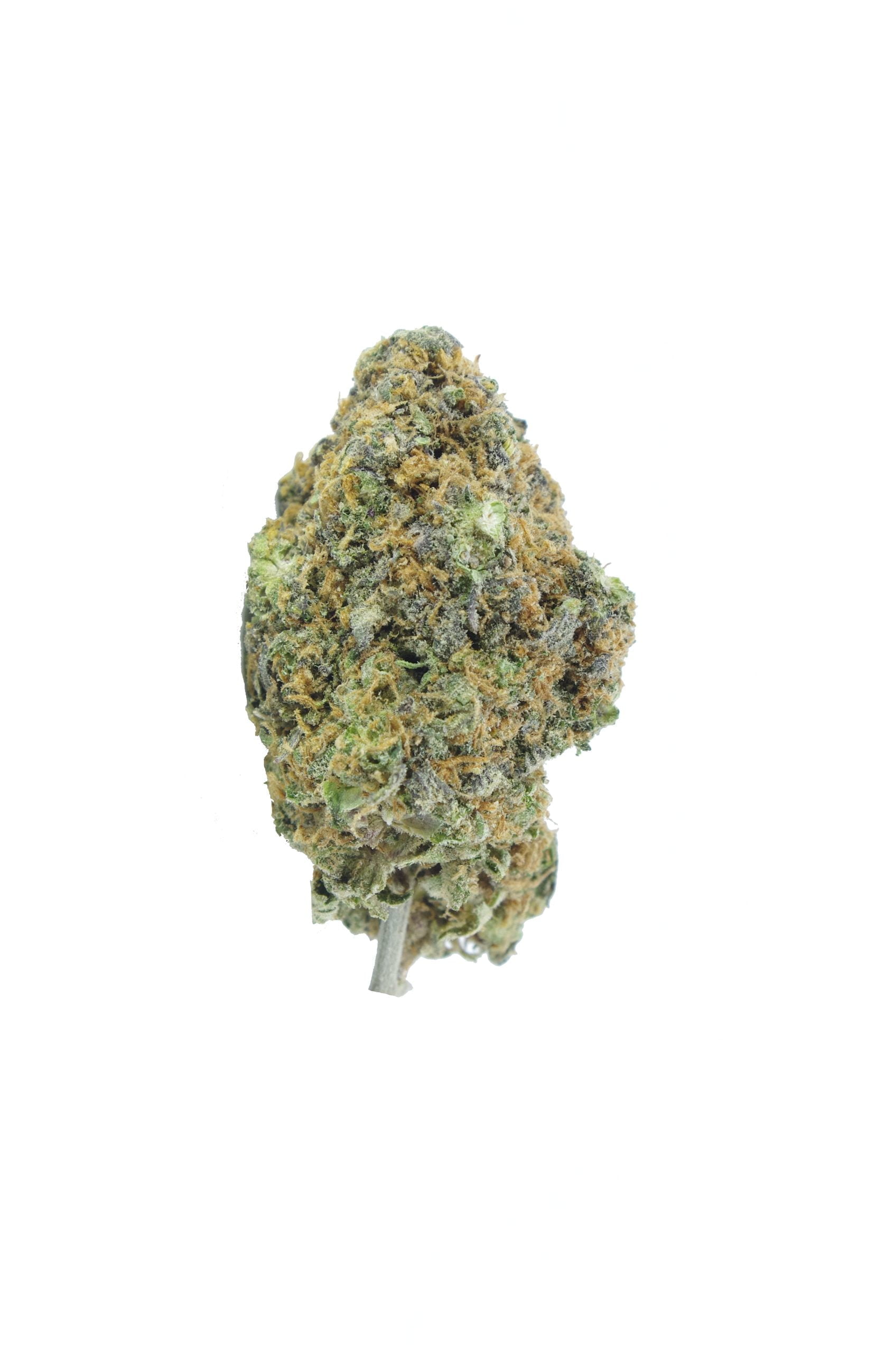 Tropic Truffle (1/8ths) | Canada Bliss Herbals