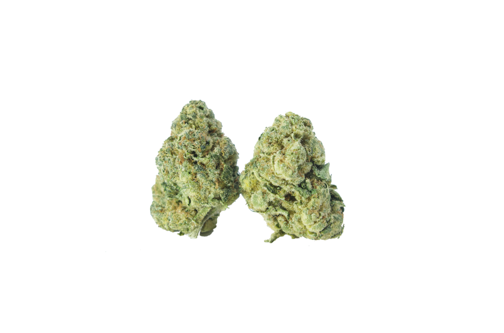 Legendary Larry Oz Special | Canada Bliss Herbals