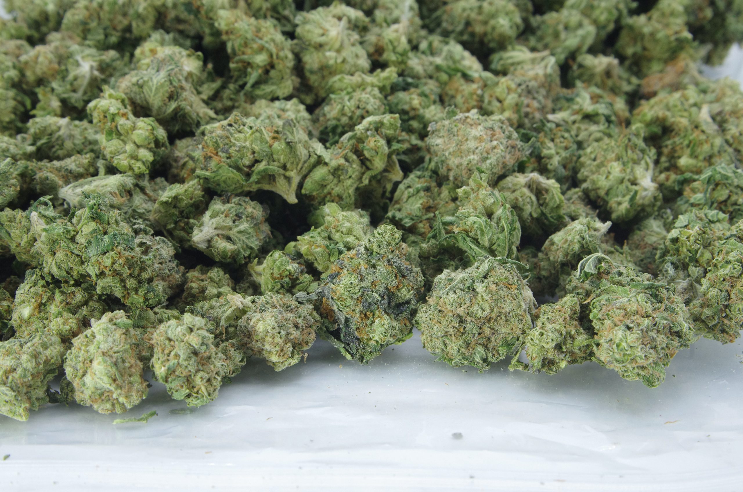 Buy Triangle Mints Smalls (Oz Special) | Canada Bliss Herbals