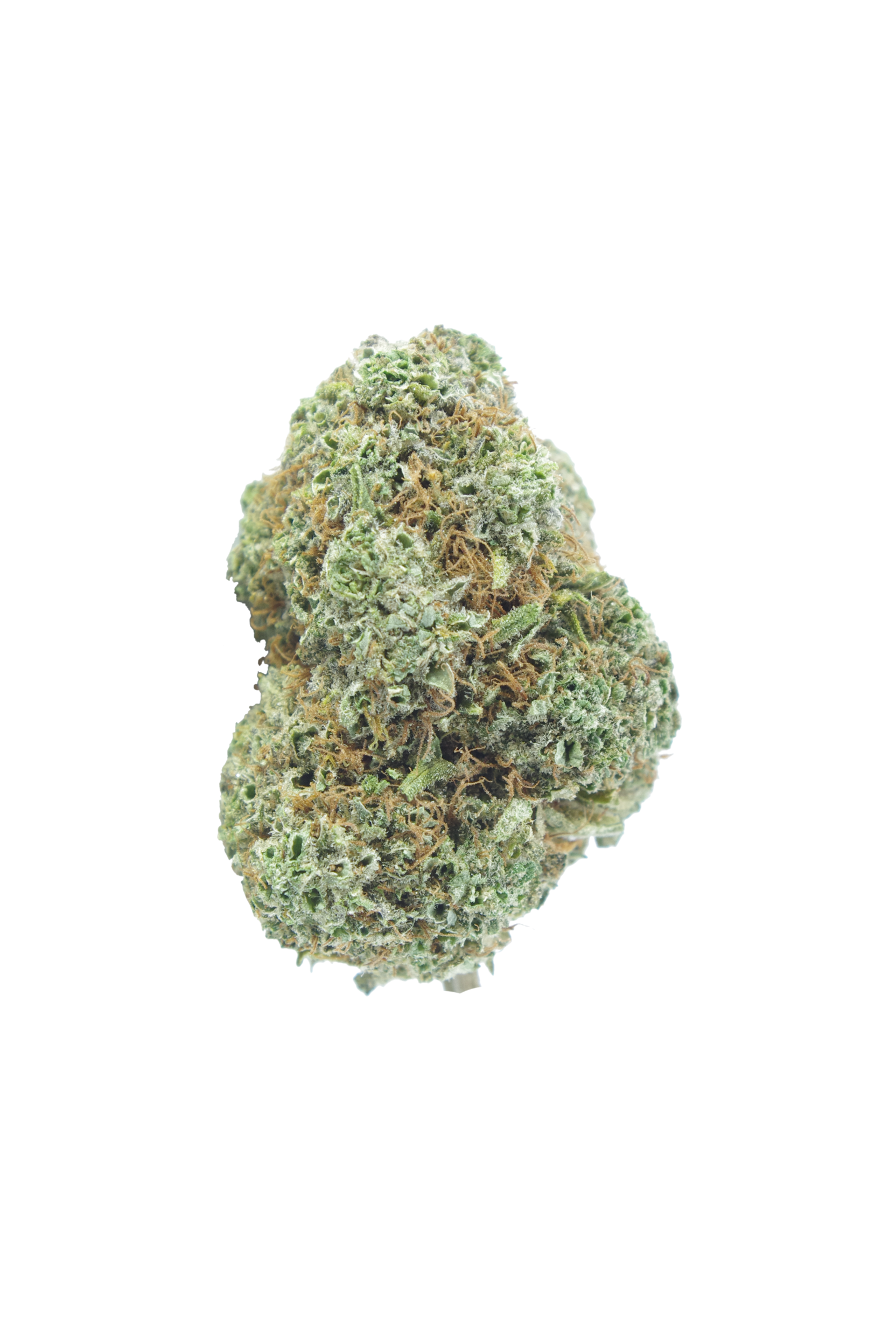 Buy Dolato (Oz Special) | Canada Bliss Herbals
