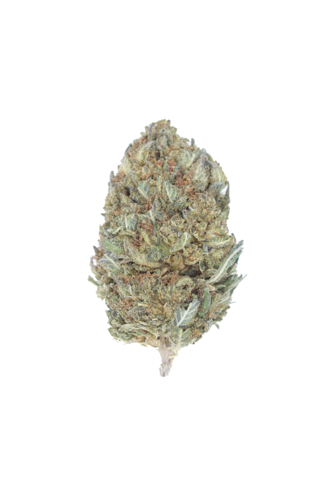 Royal OG | Canada Bliss Herbals