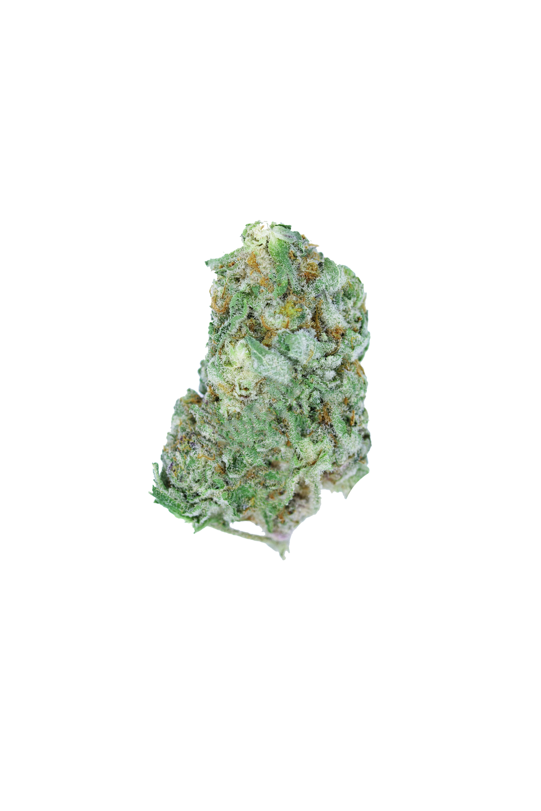 Capulator | Canada Bliss Herbals