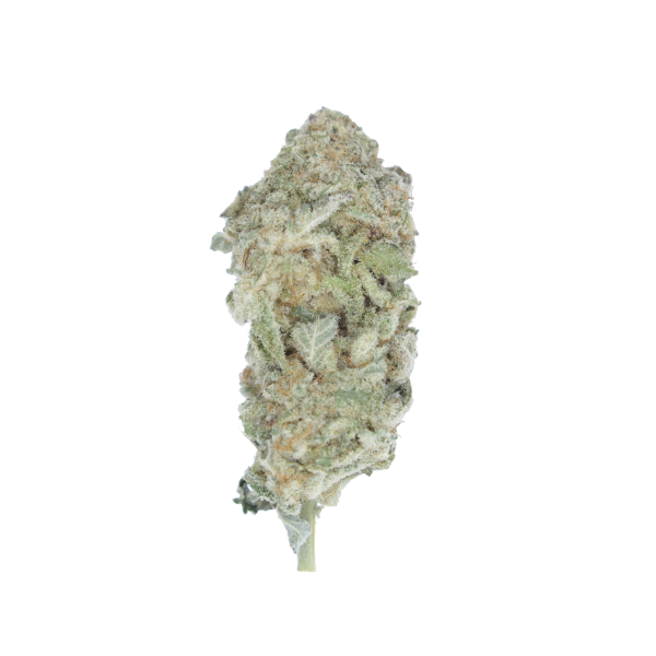 Buy Mac Daddy Online Canada Bliss Herbals