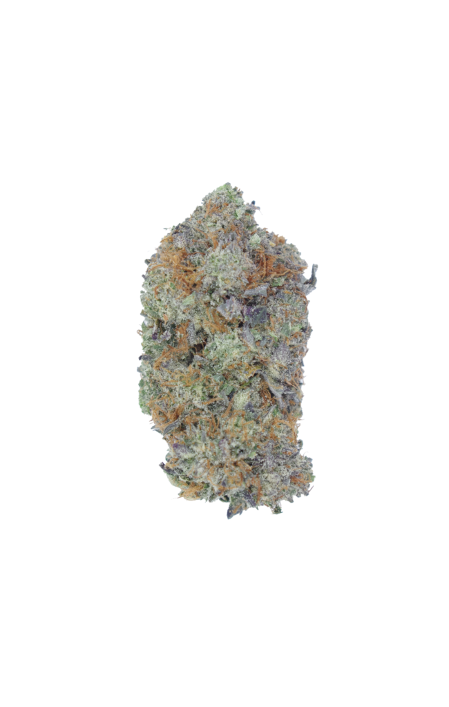 buy Shark OG (LSO) | Canada Bliss Herbals