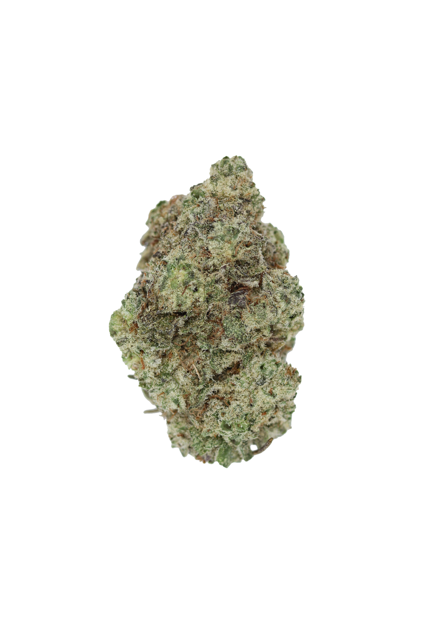 Buy Donkey Butter Online | Canada Bliss Herbals