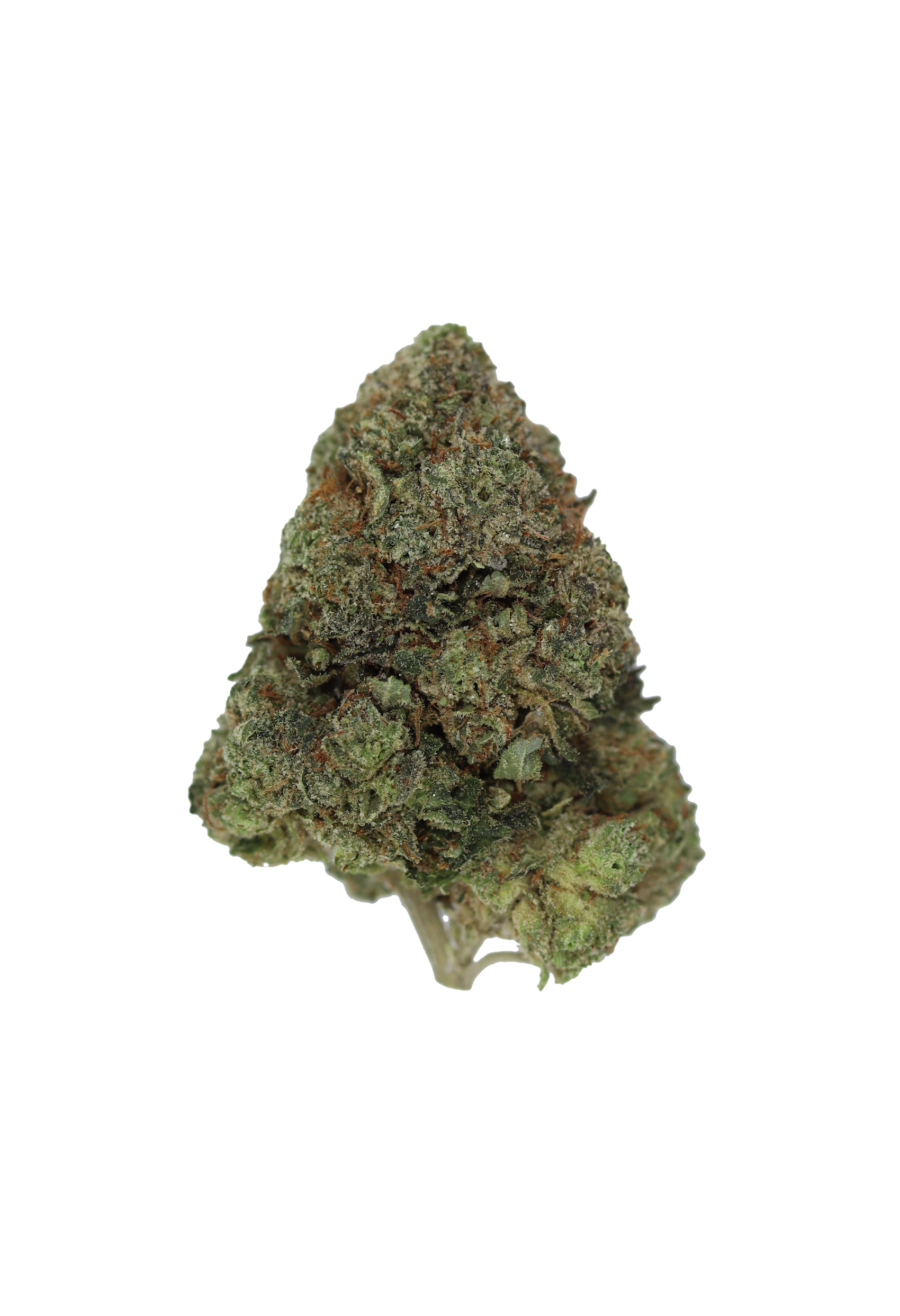 Buy Sensi Star Online | Canada Bliss Herbals