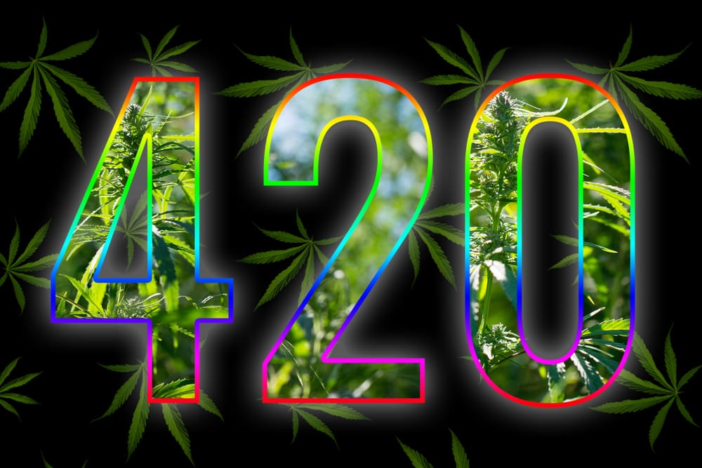 International Cannabis Day is Coming—Celebrating With Canada Bliss ...