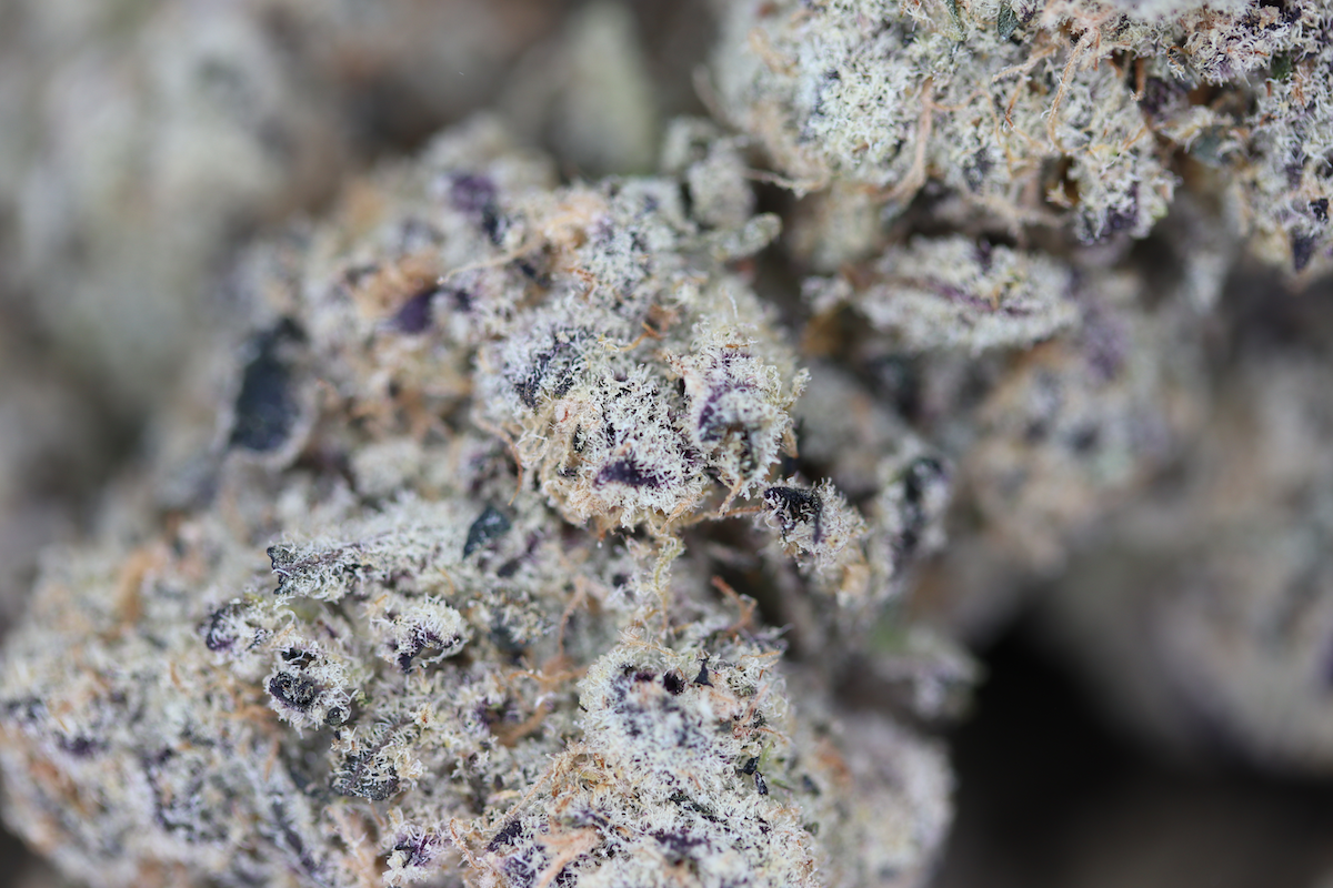 Buy Cap Junky Online | Canada Bliss Herbals