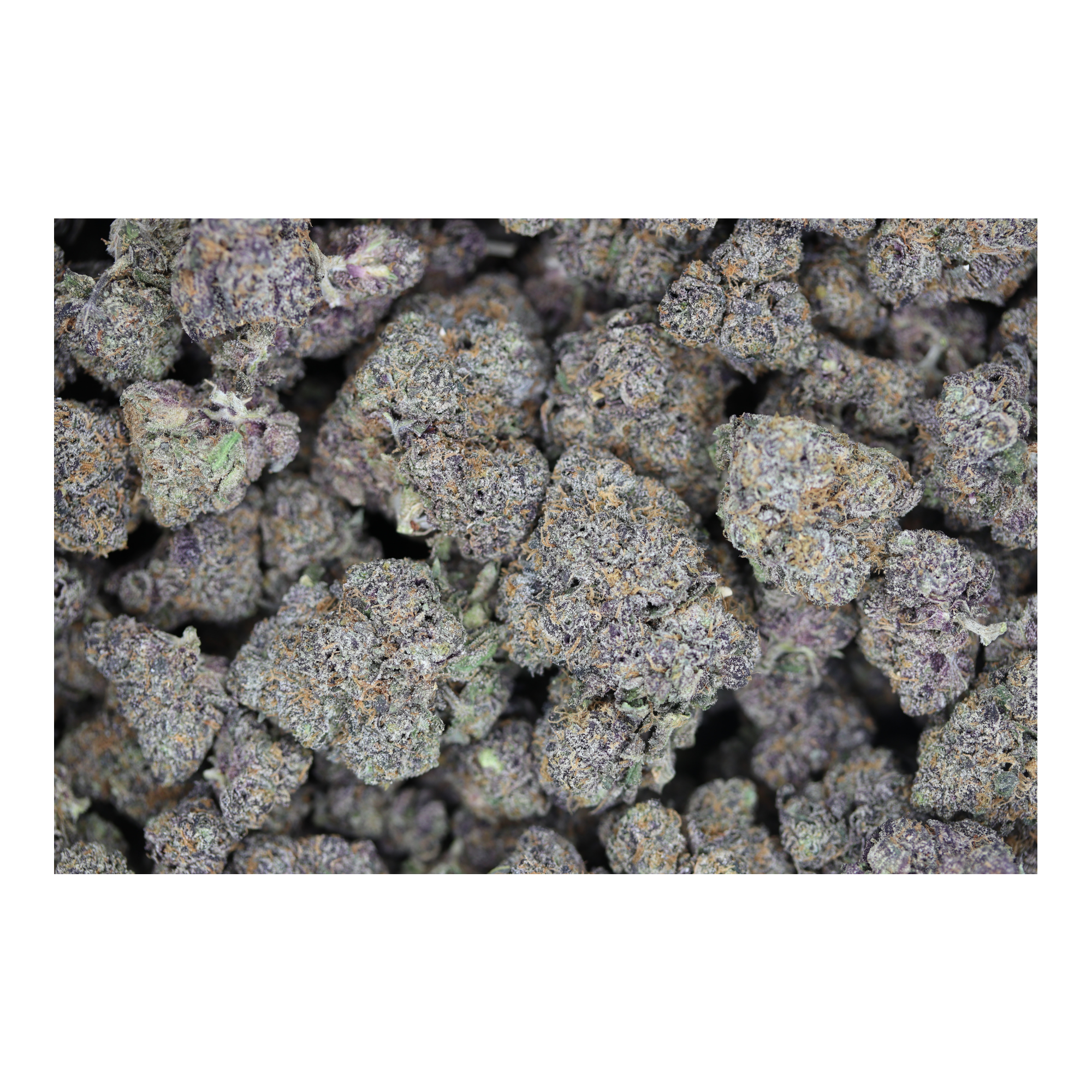 Bacio Gelato | Canada Bliss Herbals