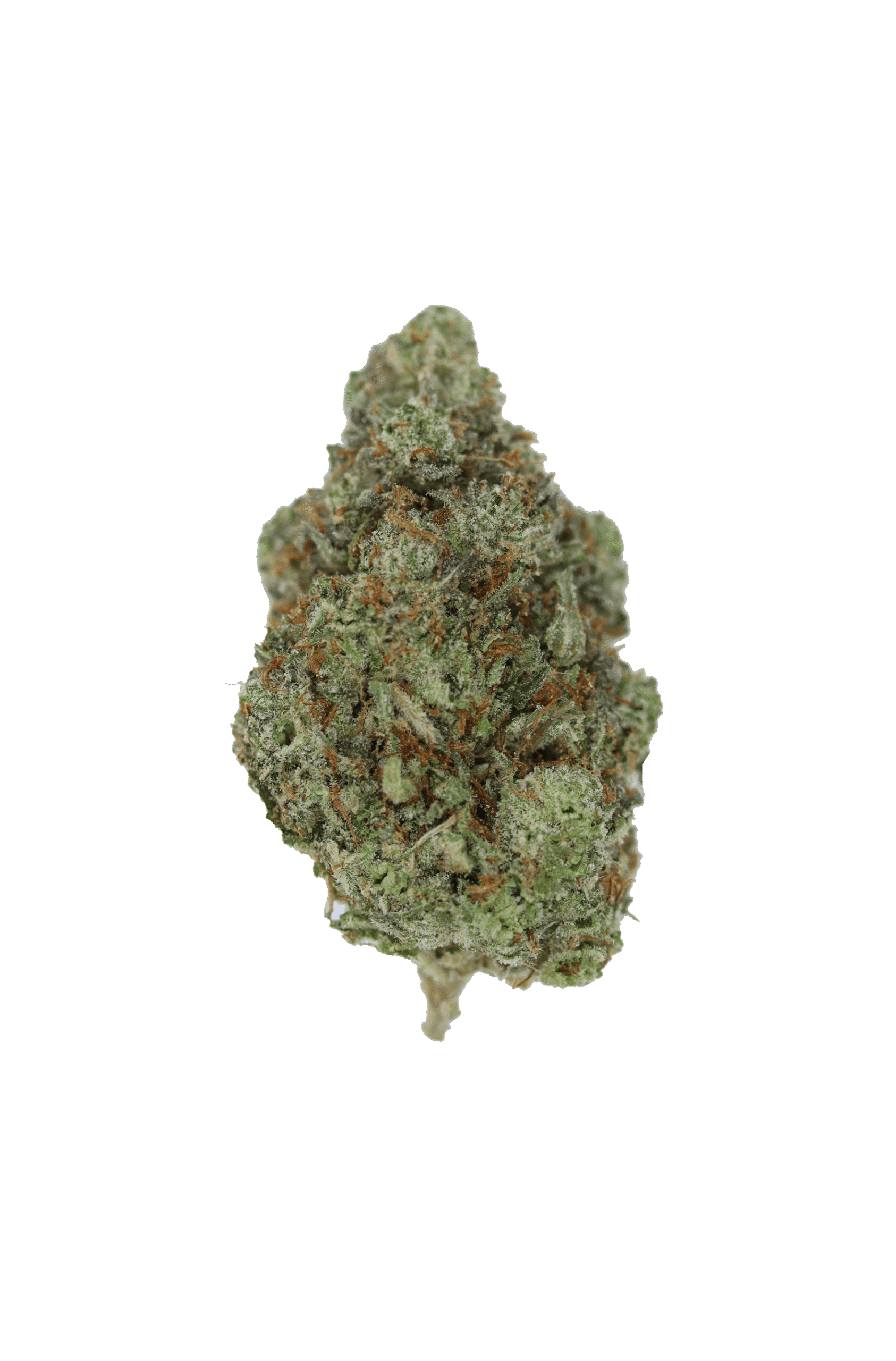 Buy Tire Fire Online | Canada Bliss Herbals